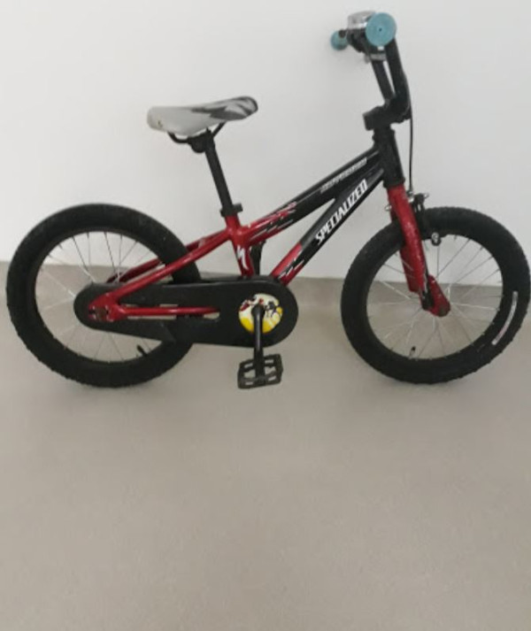 Rent a bike, electric, classic Koper - Pogačar